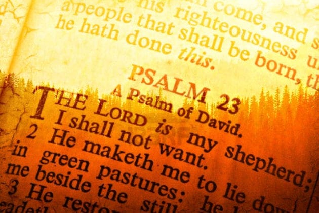 5 Ways Praying the Psalms Will Completely Change Your Life