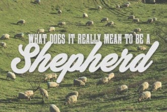 What Does It Really Mean to Be a Shepherd