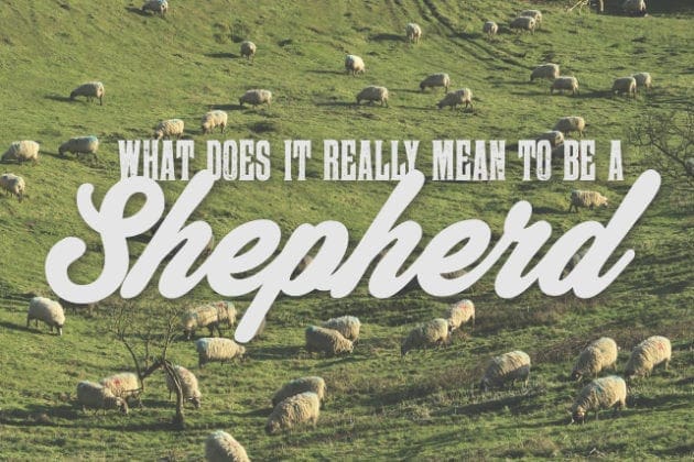 What Does It Really Mean to Be a Shepherd