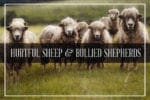 Please, Don't Bully Those Called to Shepherd the Flock of God