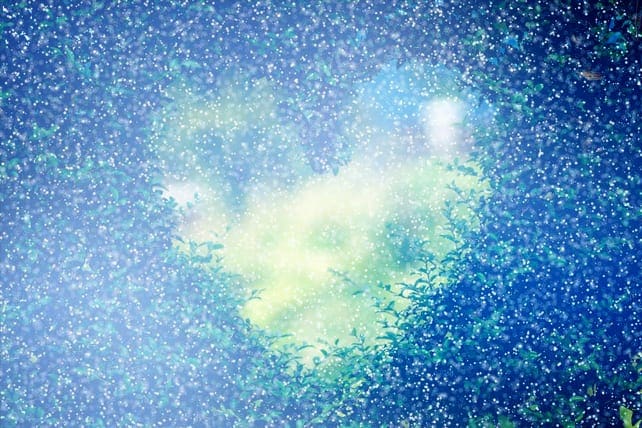 Why Would Jesus Warn Us That 'The Love of Many Will Grow Cold'?