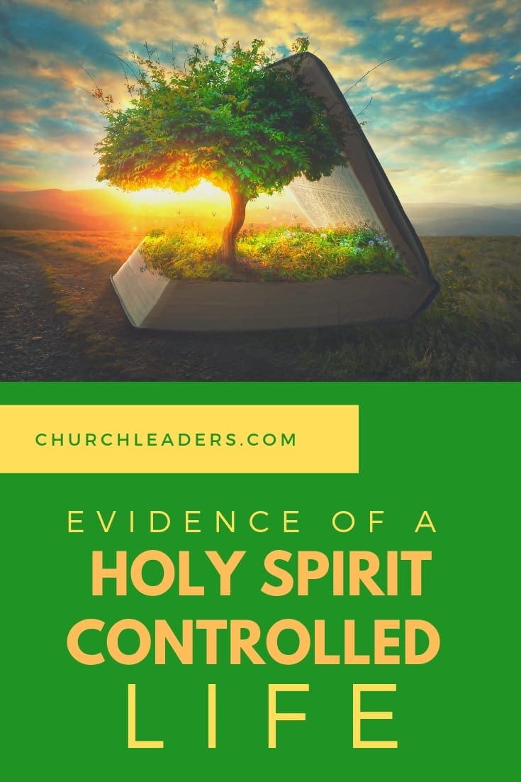 Spirit-Filled Transformation: 5 Pieces of Evidence the Holy Spirit Has ...