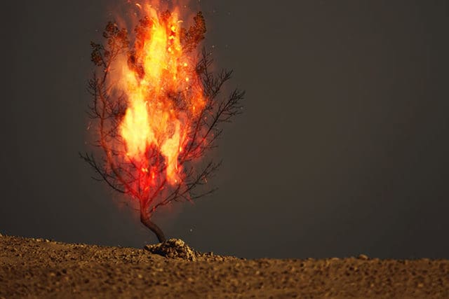 How Do We Explain Talking Donkeys and Burning Bushes?