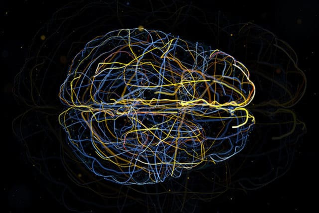 What Unforgiveness Does to Your Brain