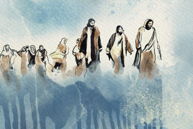 What Is a Disciple? 4 Transformations That Show the Way