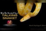 A Talking Snake? Bible Answer Man Hints That What Many Pastors Teach ...