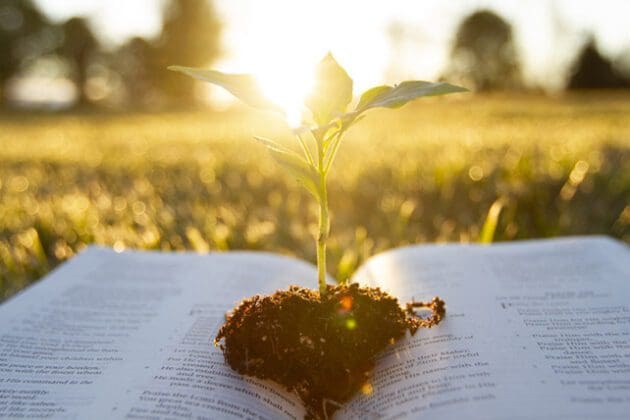 9 Challenges To Church Planting