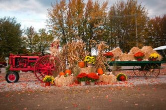 Church Fall Festival Games: 10 Harvest Activities for Children’s Ministry