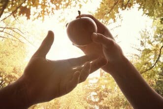 The Forbidden Fruit: Exploring the Symbolism and Interpretations