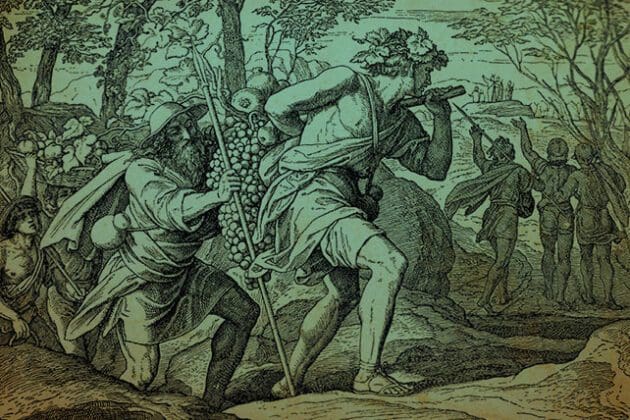 12 Spies in the Bible: Understanding This Powerful Story