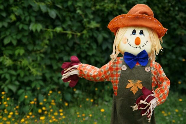 A Scarecrow in a Melon Patch
